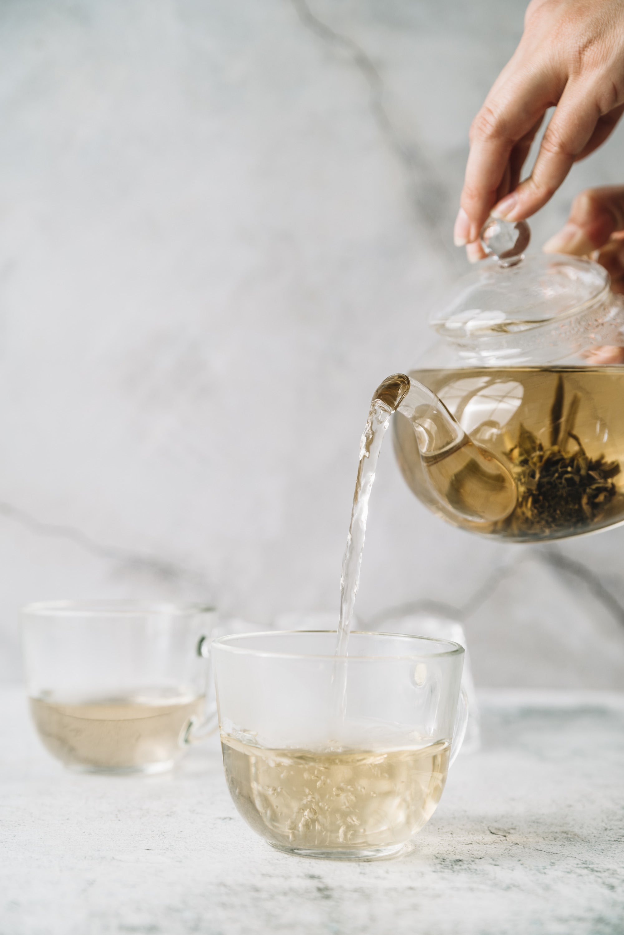 Discovering White Tea: Harvesting Process and Benefits – Tea Trunk