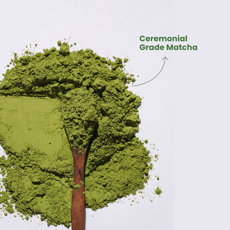 Matcha Tea | Premium Japanese Green Tea Powder – Tea Trunk