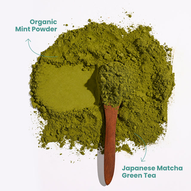 Mint Matcha Green Tea | Refreshing Blend for Wellness & Energy – Tea Trunk