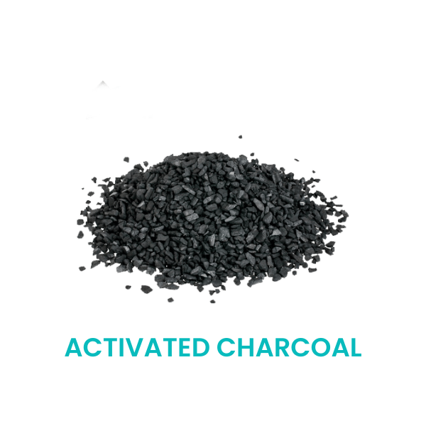 Activated Charcoal Matcha – Tea Trunk