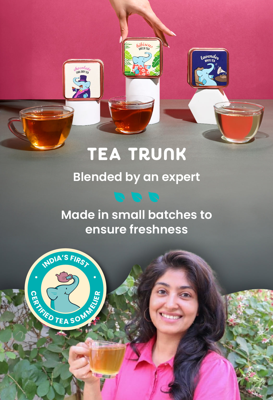 Tea Trunk: Buy Premium Teas and Teaware Online