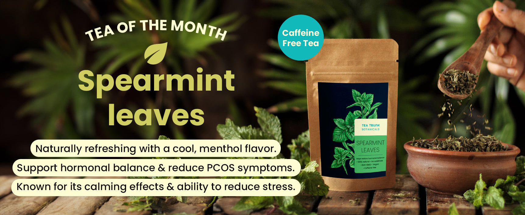 Tea Trunk: Buy Premium Teas and Teaware Online