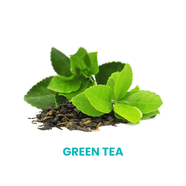 Hibiscus Green Tea - Tea Bags – Tea Trunk